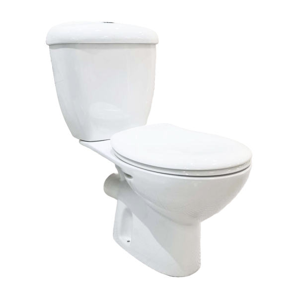 Toilet For Two